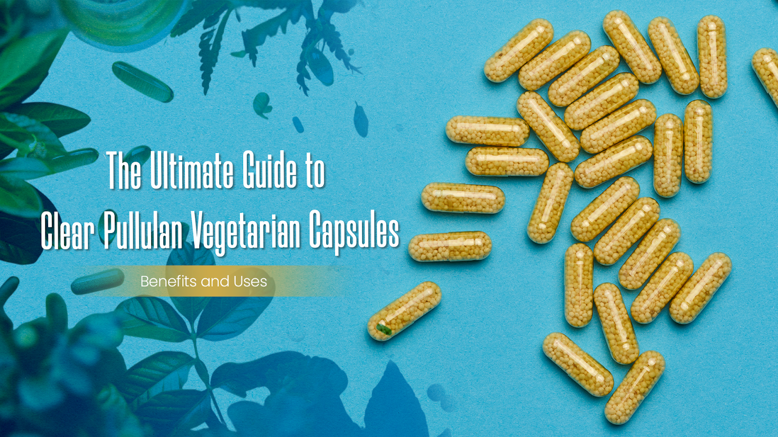 The Ultimate Guide to Clear Pullulan Vegetarian Capsules: Benefits and ...