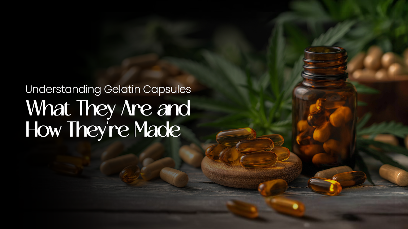 Understanding Gelatin Capsules: What They Are and How They're Made ...